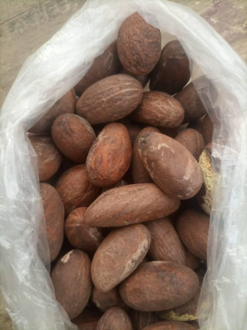 Garcinia Kola /bitter Cola - 1000g/1kg - Etsy