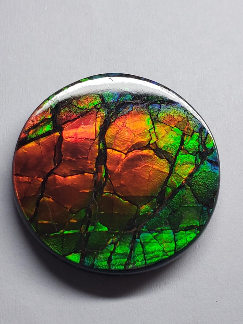 26x26 Ammolite Canada's Opal Round Shape Triplet 3 Color Gold Green ...