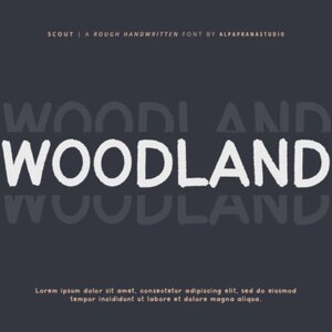 Scout Font, Beautiful Font, Script Font, Elegant Font, Handwritten Font ...