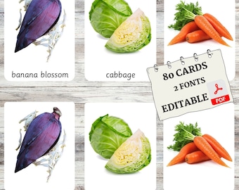 Marine Animal Flashcards • Montessori Flashcards • Vocabulary ...