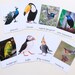 Bird Flashcards • Montessori Flashcards • Vocabulary • Nomenclature ...