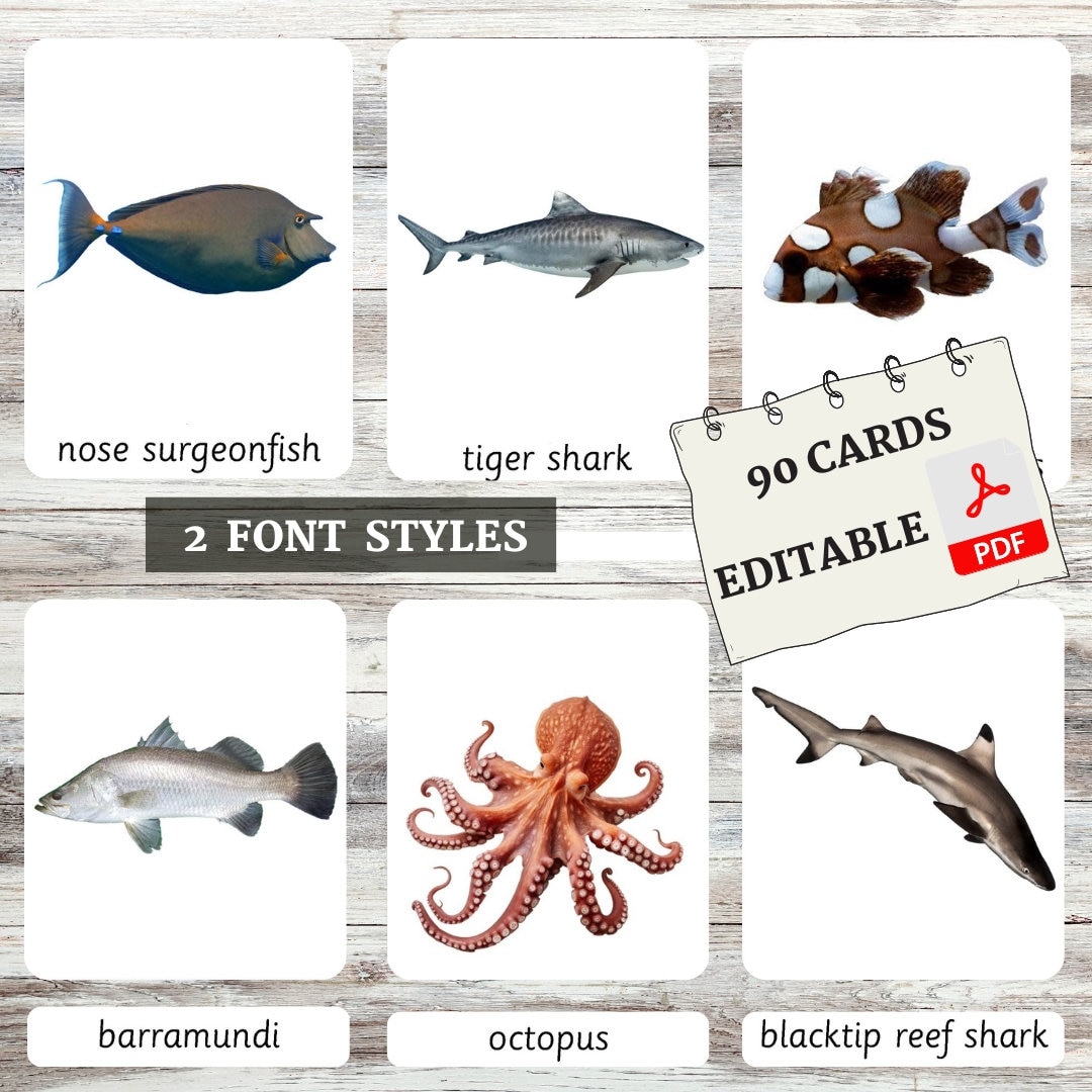 Marine Animal Flashcards • Montessori Flashcards • Vocabulary ...