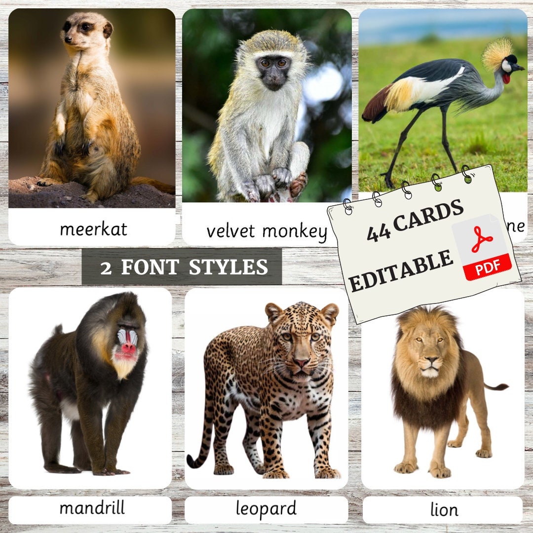 Safari/african Wildlife Animal Flashcards • Montessori Flashcards ...