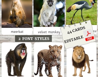 Pets flashcards • Montessori Flashcards • Vocabulary • Nomenclature ...