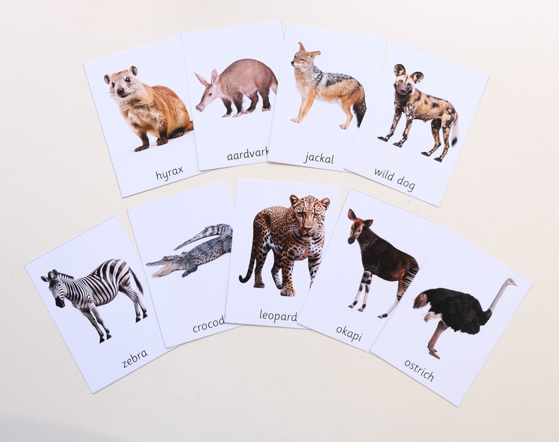 Safari/african Wildlife Animal Flashcards • Montessori Flashcards ...