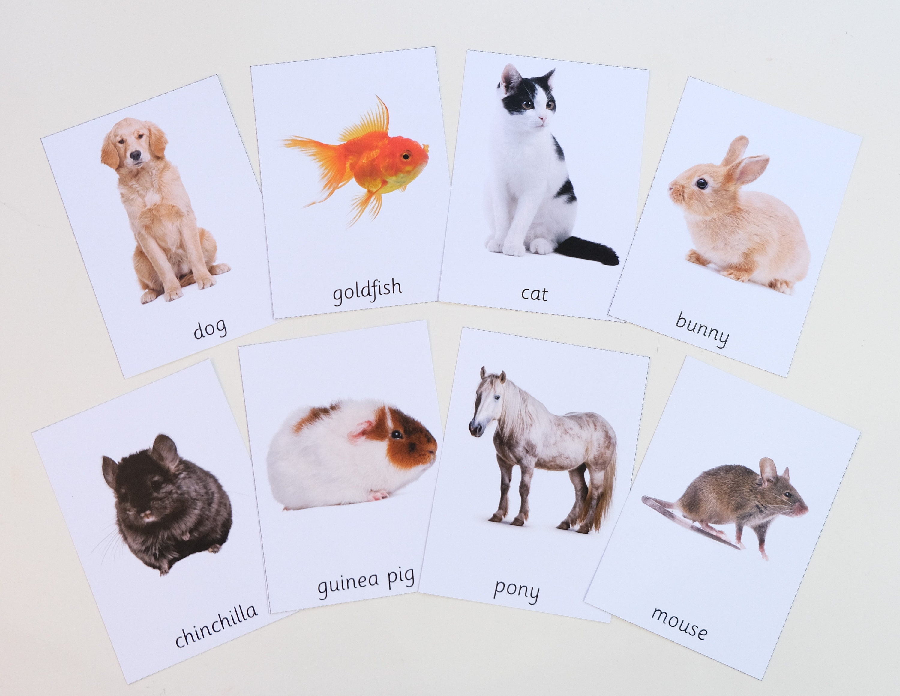 Pets flashcards • Montessori Flashcards • Vocabulary • Nomenclature ...