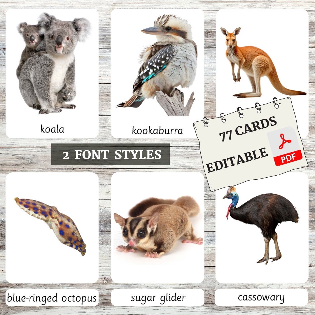 Australian Wildlife Flashcards • Montessori Flashcards • Vocabulary ...