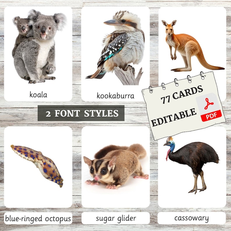 Australian Wildlife Flashcards • Montessori Flashcards • Vocabulary ...