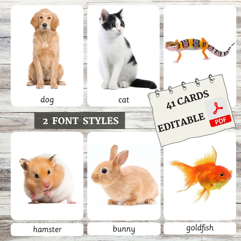 Pets flashcards • Montessori Flashcards • Vocabulary • Nomenclature ...