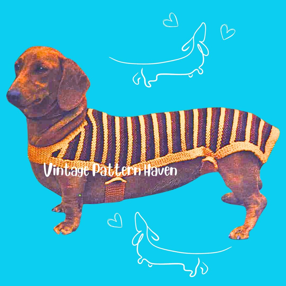 Dachshund Dog Coat Knitting Pattern - Vintage 70s PDF, Sausage Dog ...
