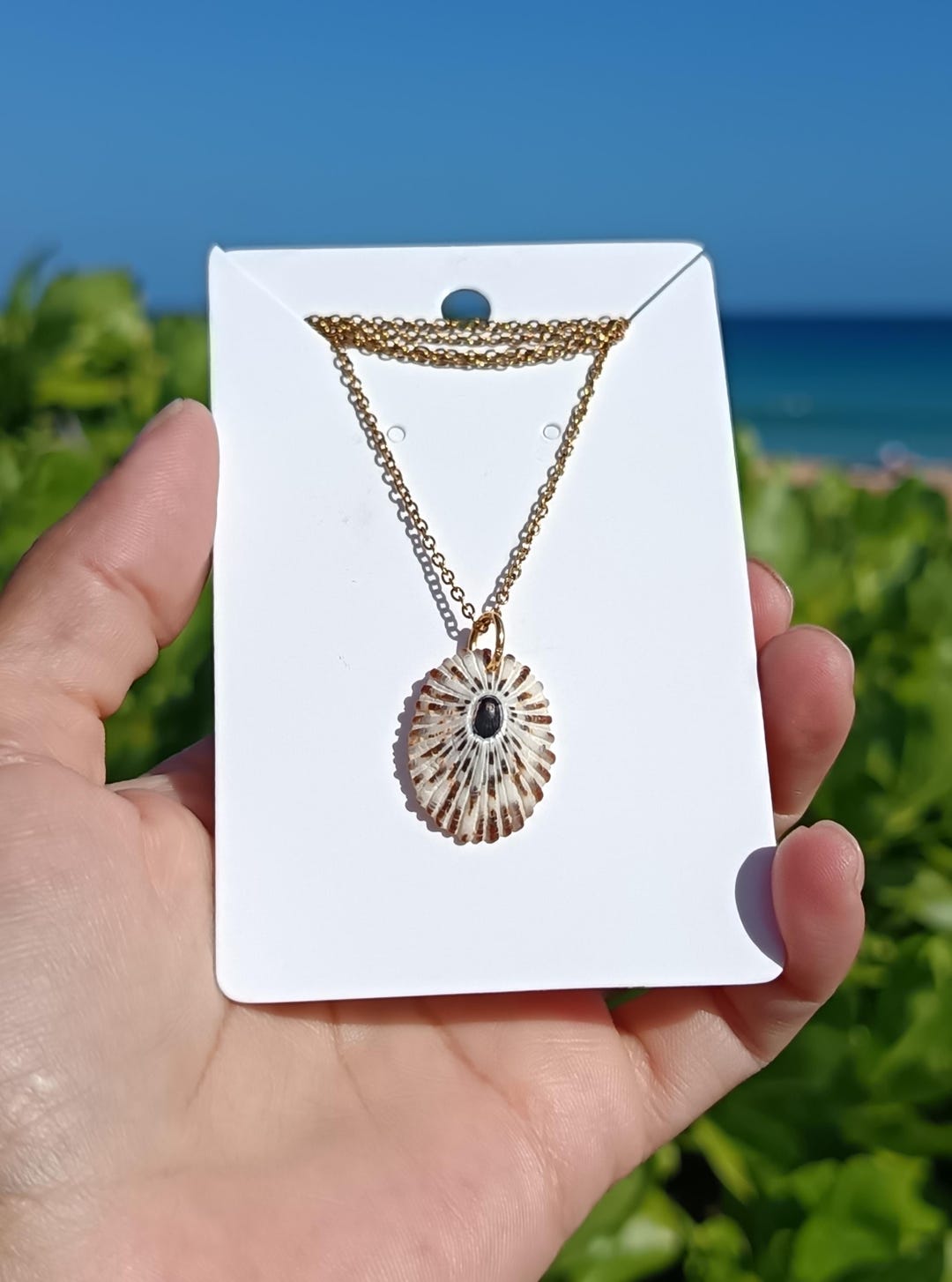 Handmade Hawaii White Opihi Shell Necklace: Stainless Steel Limpet ...