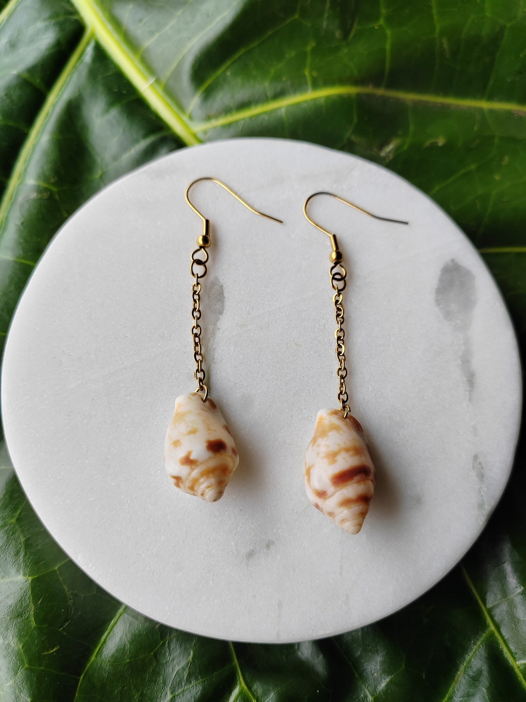 Hawaiian Stromb Shell and Stainless Steel Earrings - Etsy