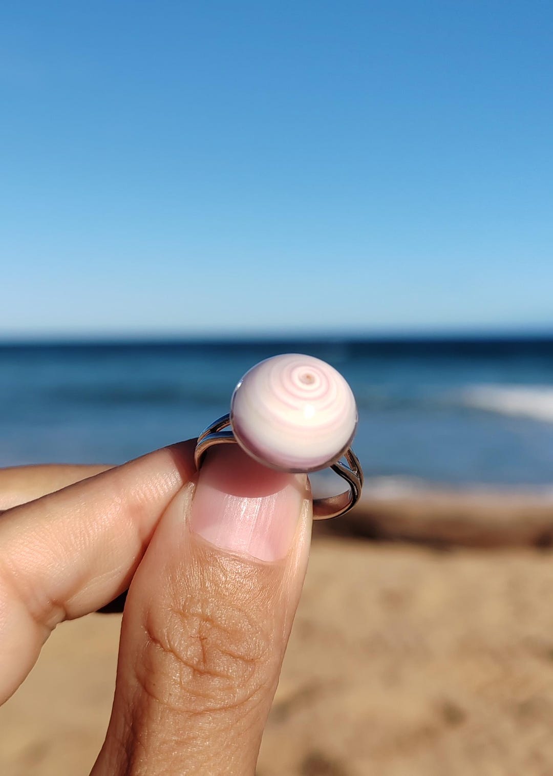 Kauai Purple and White Puka Shell Adjustable Ring Stainless Steel ...