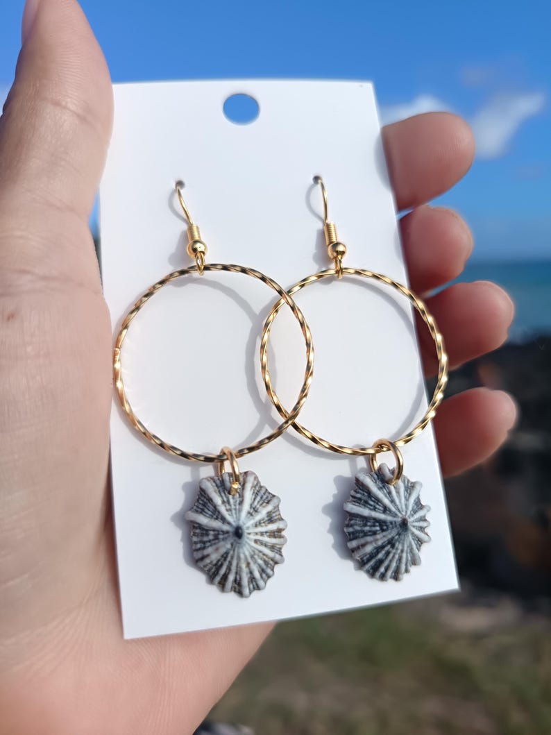 Opihi Awa Shell Hoop Earrings I Unique Gift for Her I Unique Gift I ...