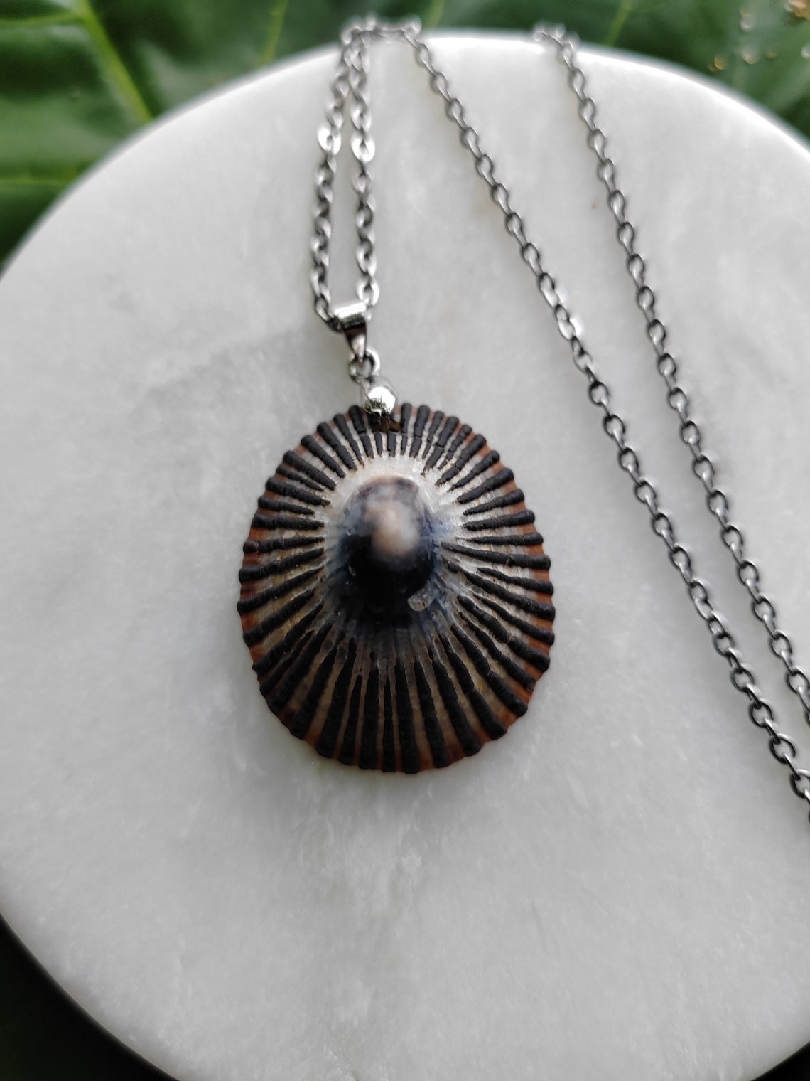 Aloha Chic: Stainless Steel Limpet Opihi Seashell Necklace - Etsy