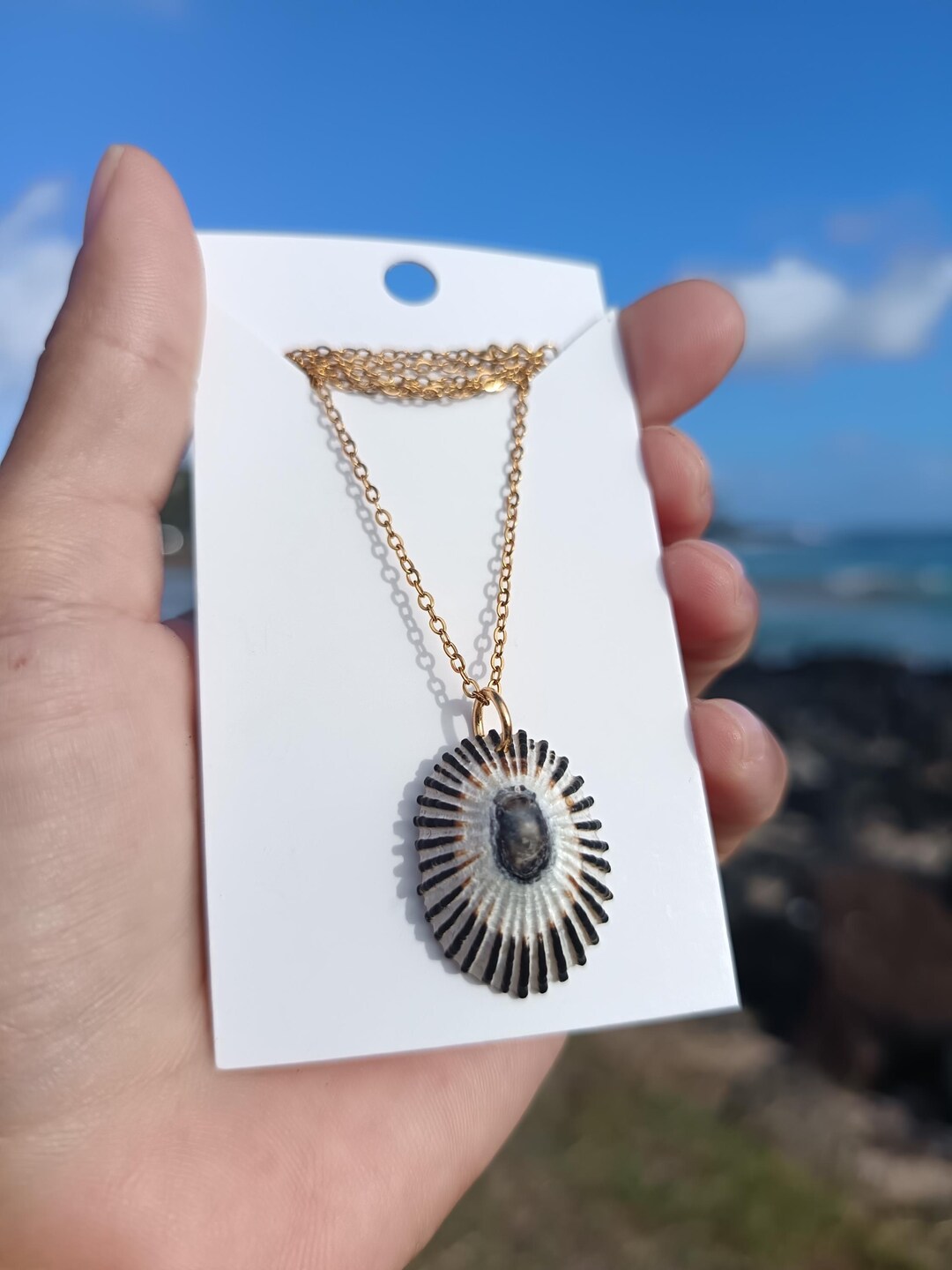 Handmade Hawaii Opihi Shell Necklace: Stainless Steel Limpet Pendant ...