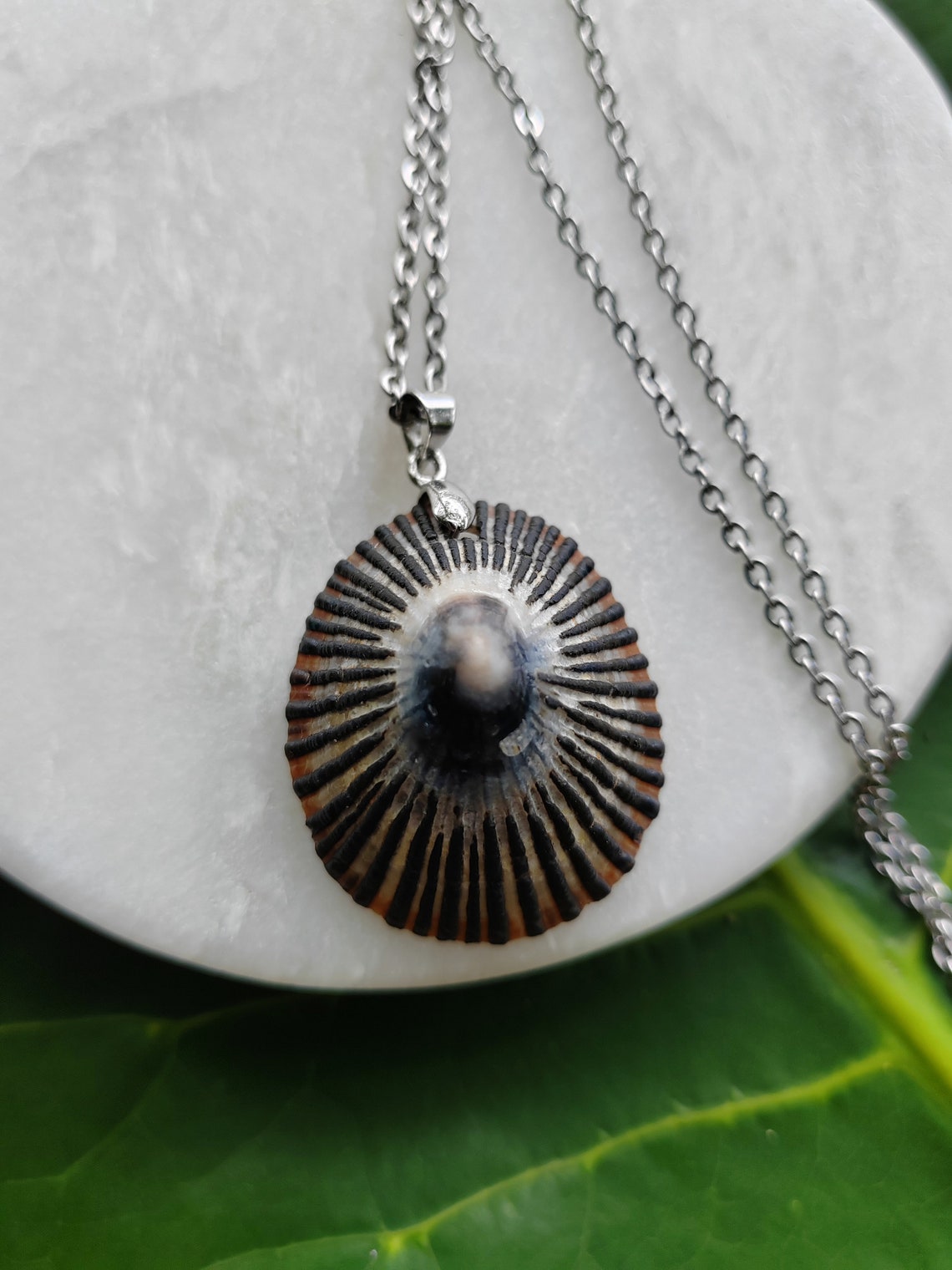 Aloha Chic: Stainless Steel Limpet Opihi Seashell Necklace - Etsy