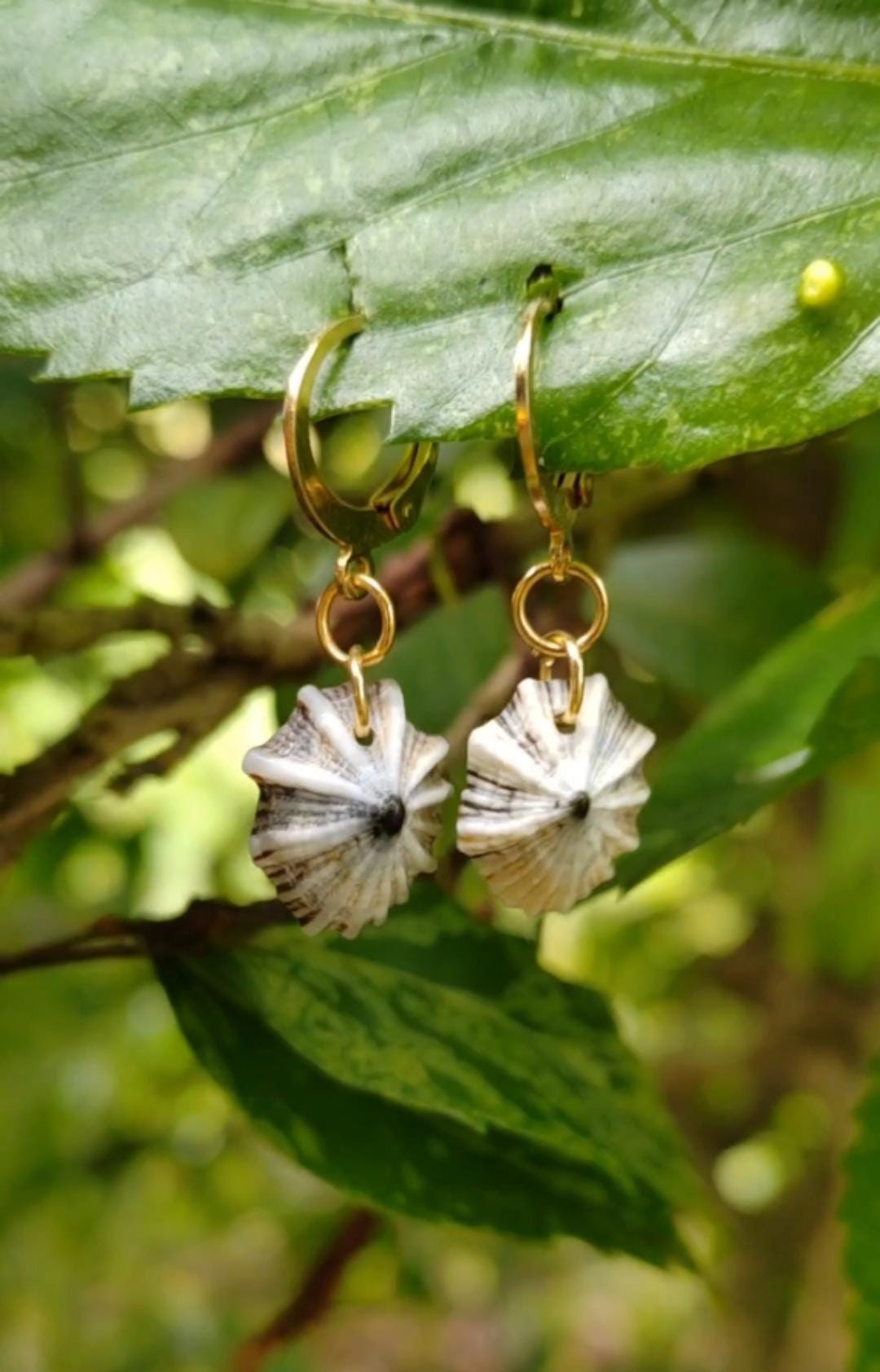 White Opihi Awa Shell and Freshwater Hoop Earrings I Unique Gift for ...