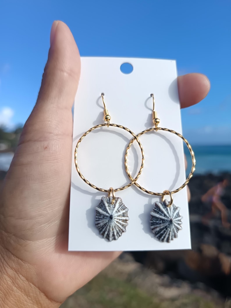 Opihi Awa Shell Hoop Earrings I Unique Gift for Her I Unique Gift I ...