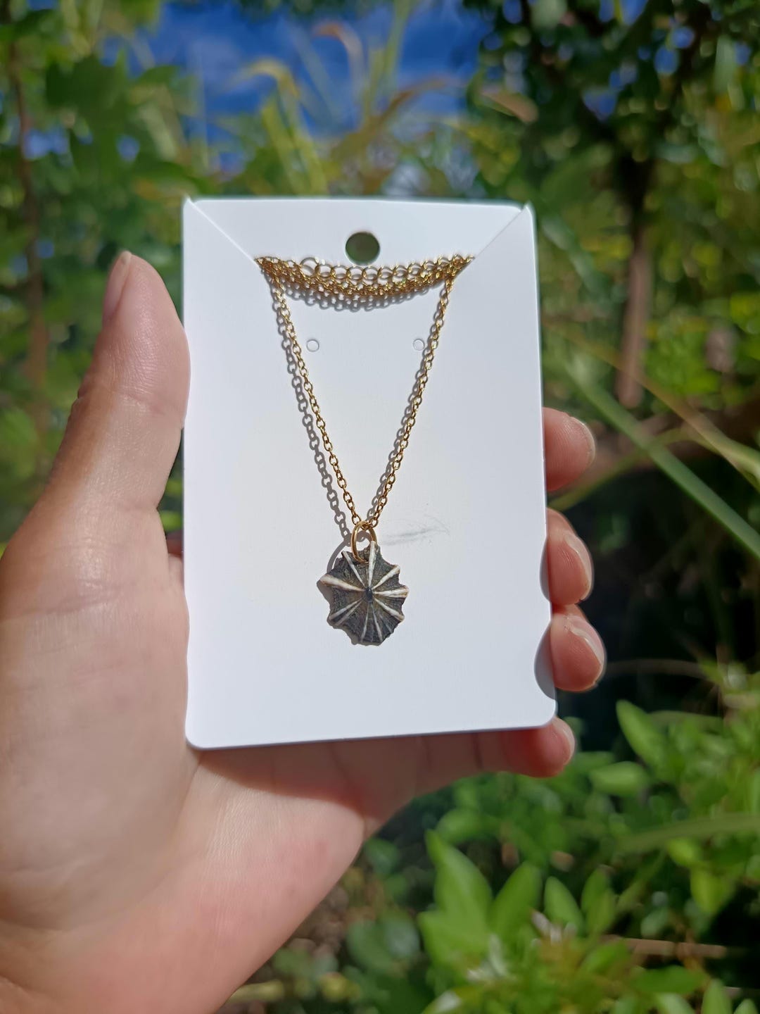 Kauai Opihi Shell Necklace: 14k Gold Plated Stainless Steel Pendant ...