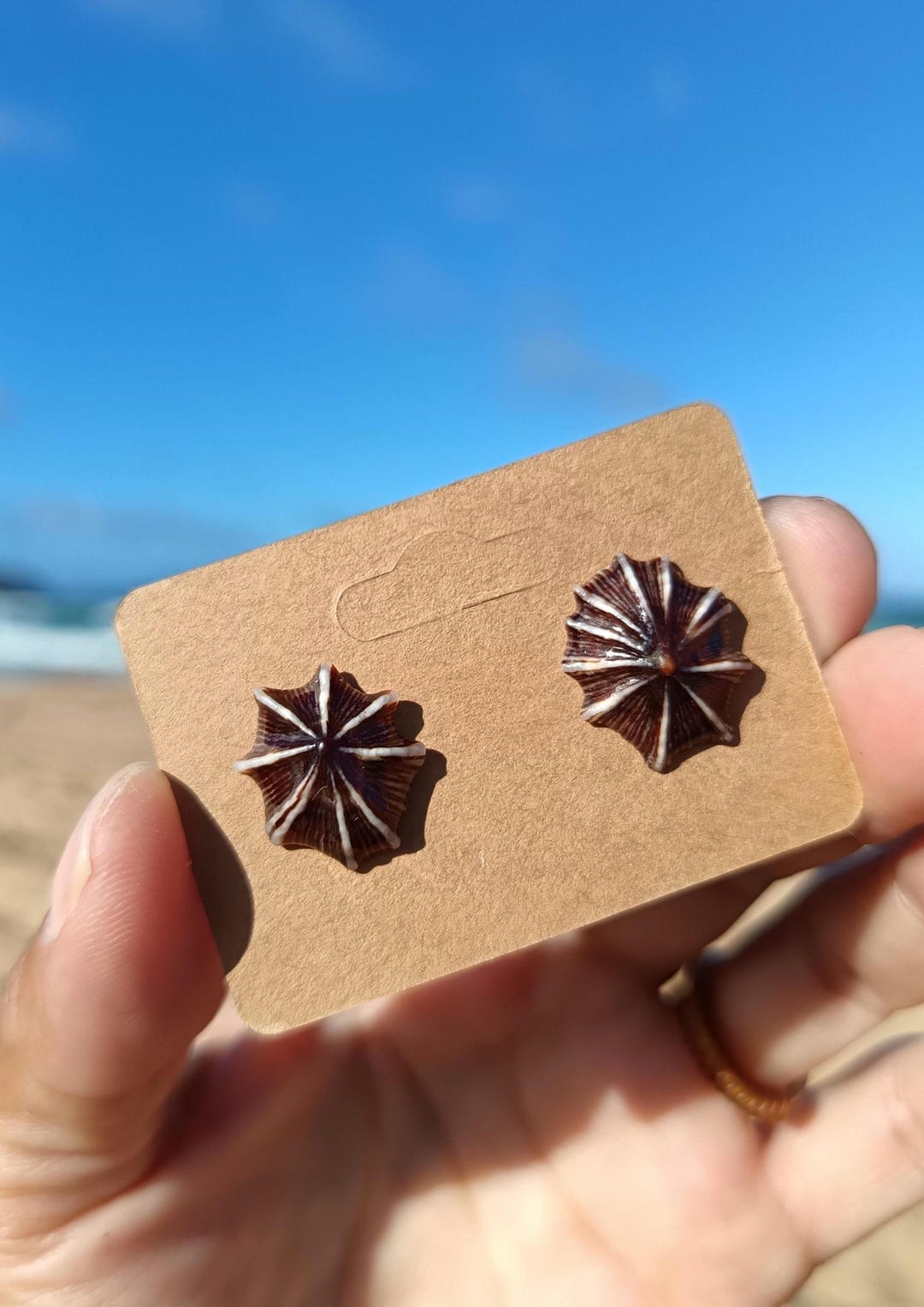 Handmade Opihi Shell Stud Earrings: Kauai Stainless Steel Jewelry ...
