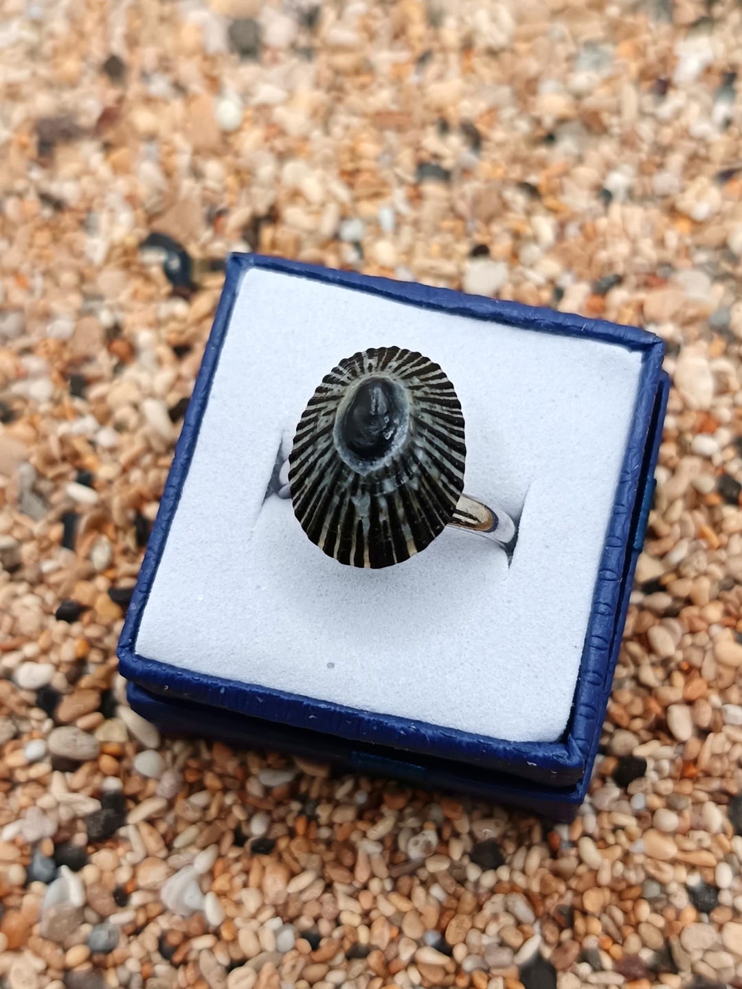 Kauai Black Opihi Shell Adjustable Ring - Resin and Stainless Steel ...