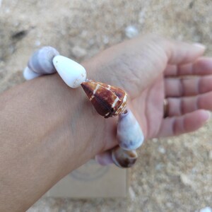 Hawaiian Assorted Cone Shell Stretch Bracelet, Gift for Her, Unique ...