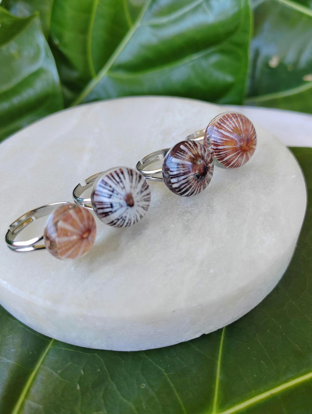 Hawaiian Little Opihi Shell Adjustable Ring I Silver Plated Stainless ...