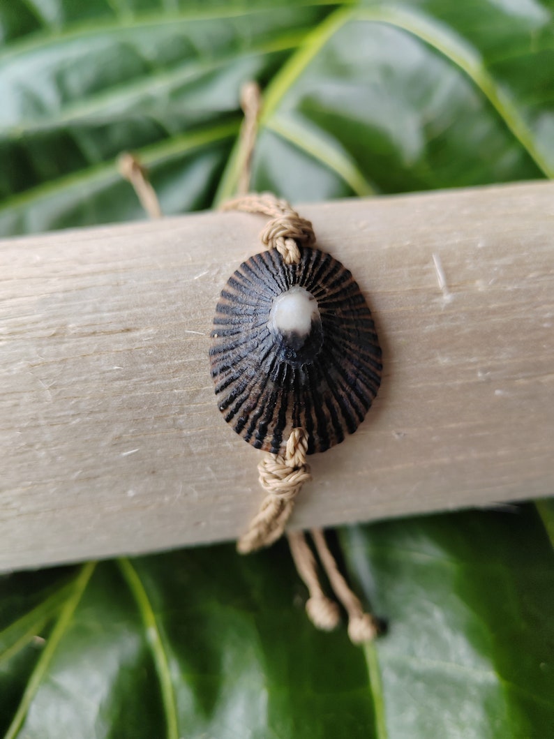 Hawaiian Opihi Shell Braided Bracelet - Etsy