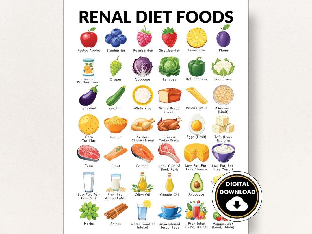 Renal Diet PDF, Healthy Renal Diet Food List, Printable PDF, CKD Diet Poster, Best Foods to Eat ...