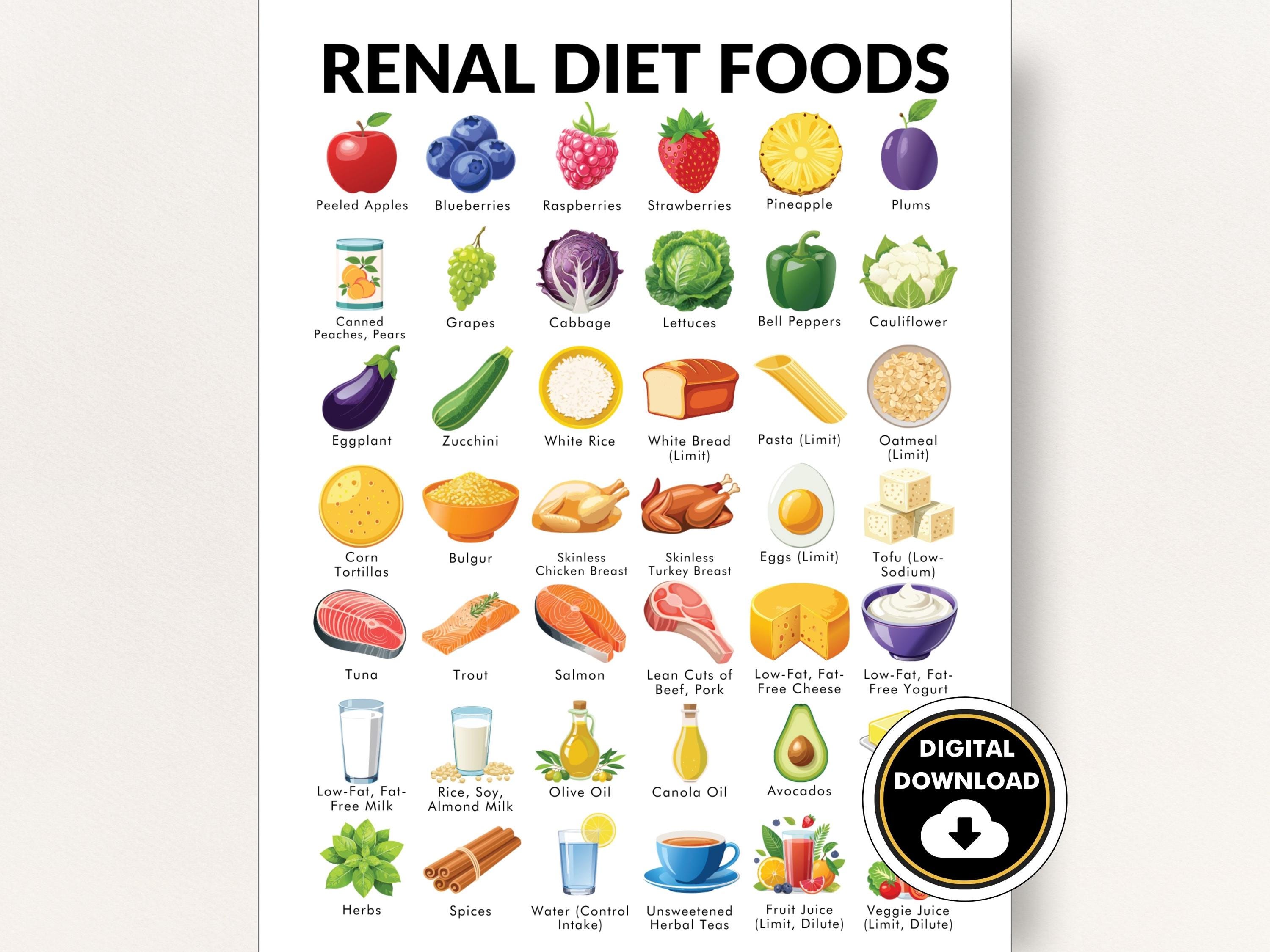 Renal Diet PDF, Healthy Renal Diet Food List, Printable PDF, CKD Diet ...