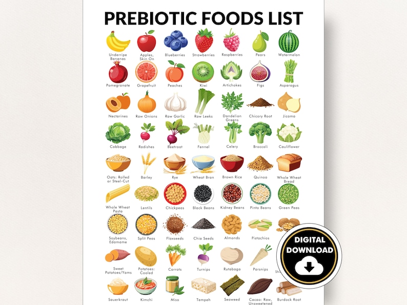 Prebiotics Foods List, Prebiotic Food List PDF, Guide, Helps You ...