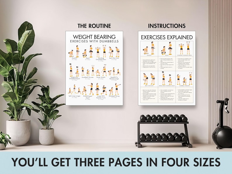 Weight Bearing Exercises, Strength Training Plan for Bone Heath ...