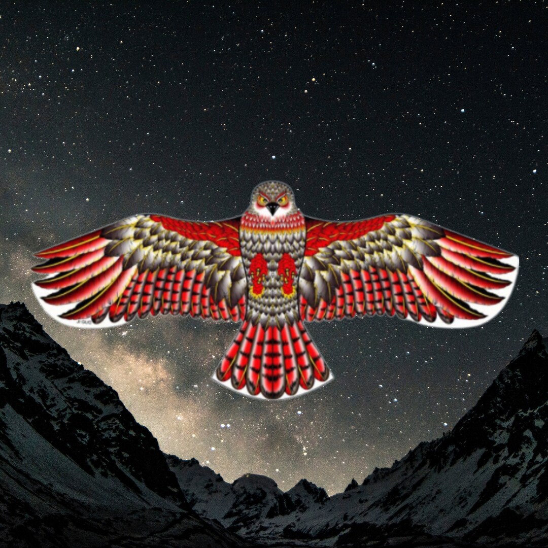 Eagle Kite With 15m String - Perfect for Outdoor Fun and Garden Pest ...