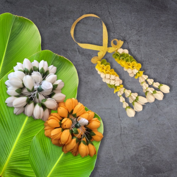 Magnolia Champaca Plant - Etsy