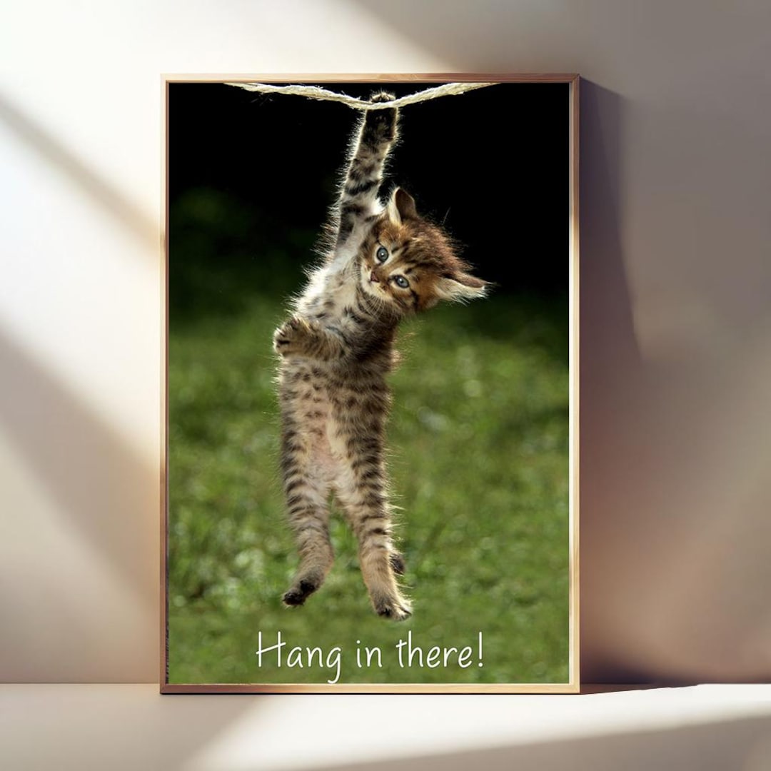 Kitten, Hang in There, Motivational Poster, Canvas Print, Encouragement ...