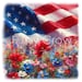 American Flag Clipart, 10 High Quality Jpgs, 4th of July Clipart ...