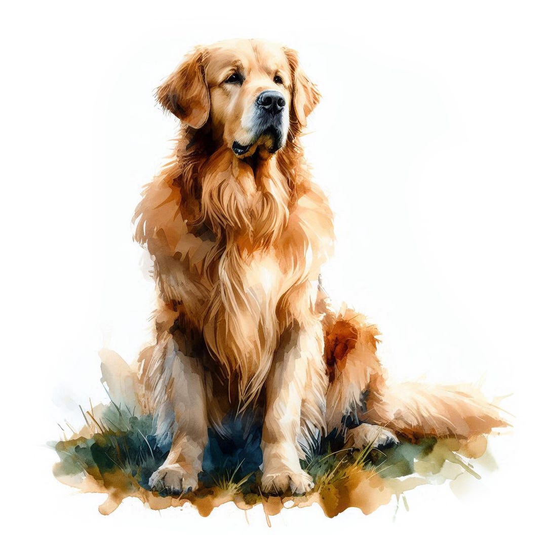 Golden Retriever Clipart, 10 High Quality Jpgs, Printable Watercolour ...