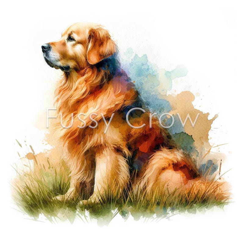 Golden Retriever Clipart, 10 High Quality Jpgs, Printable Watercolour ...