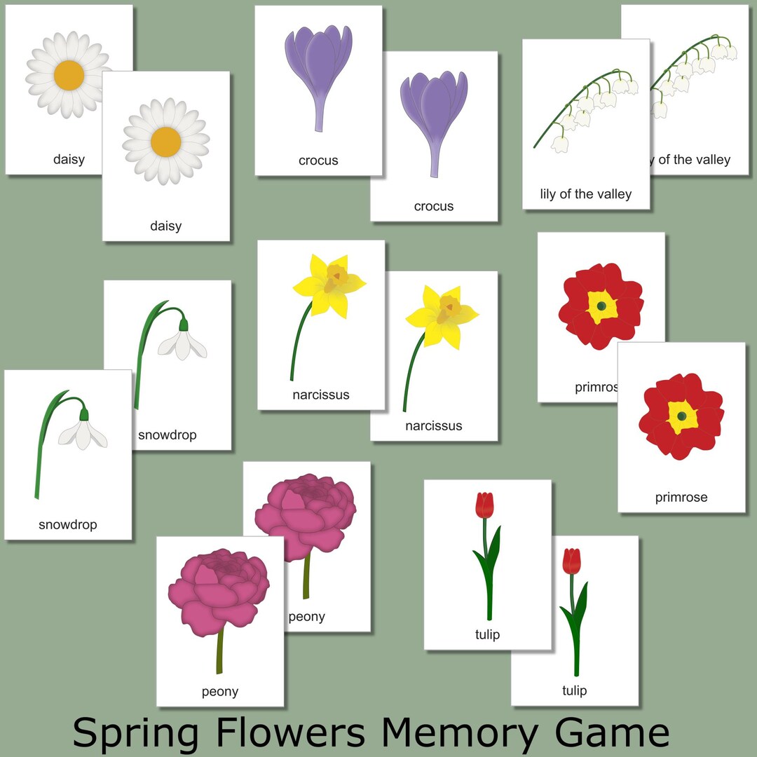 Spring Memory Game, Flower Matching Activity, Preschool Printable PDF ...