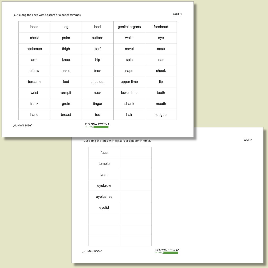 Parts of the Human Body Diagram | English Vocabulary Activity | Kids ...