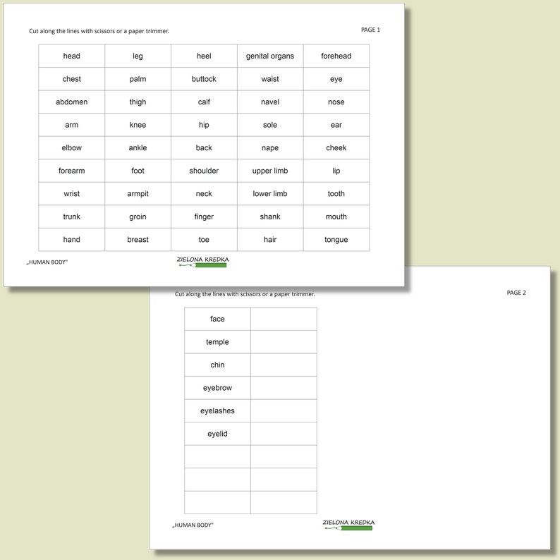 Human Body, Learning About Parts of a Human Body, Printable Learning ...