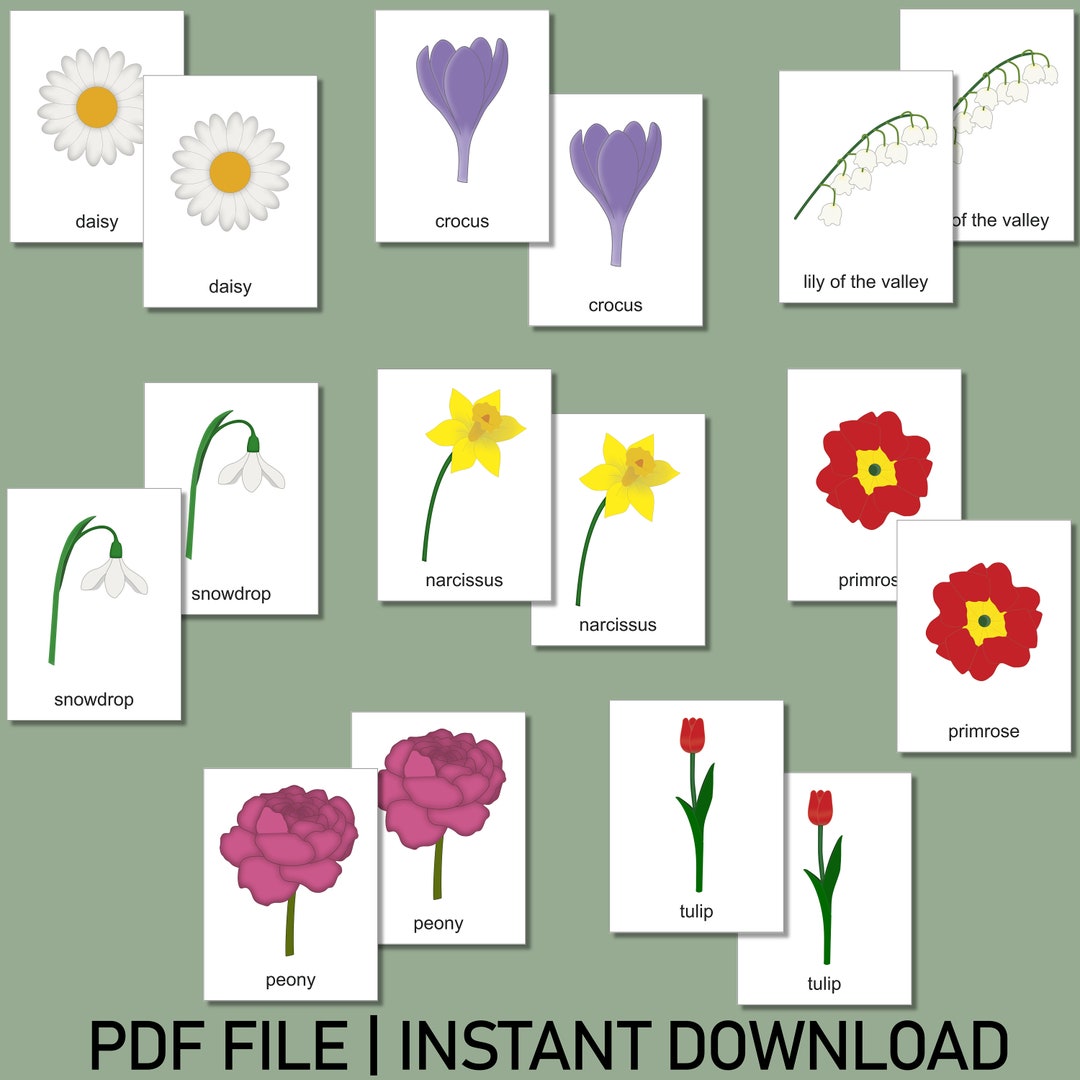 Spring Flowers Memory Game Printable Montessori Materials, Spring ...