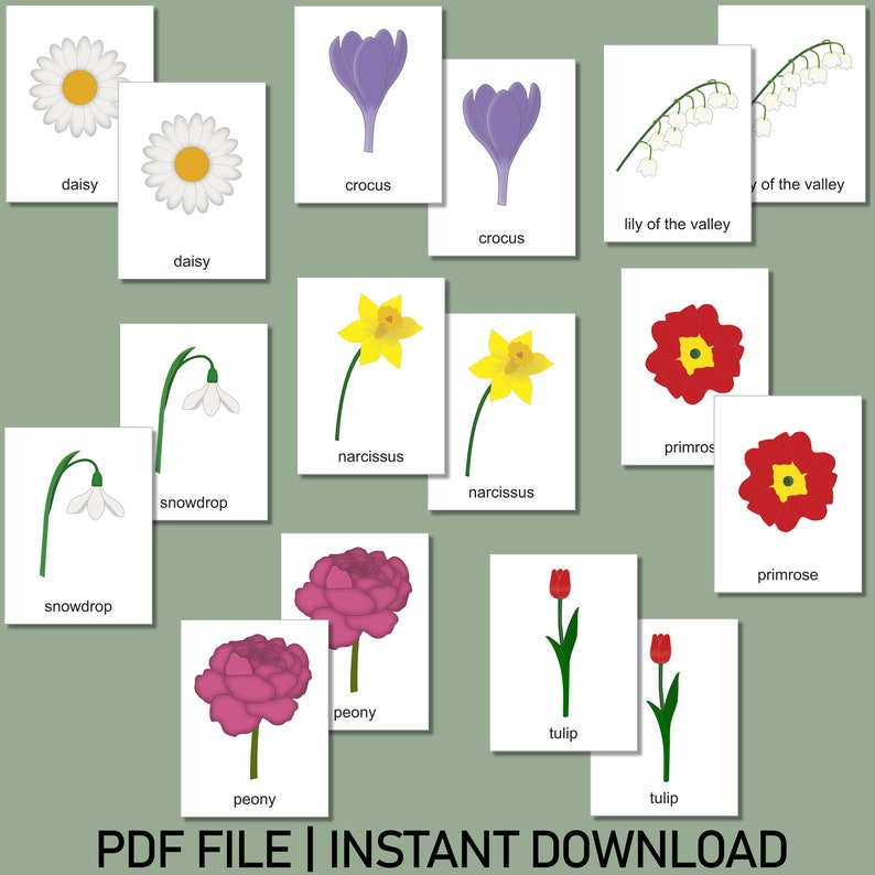 Spring Flowers Memory Game, Printable Kids Game, Montessori Materials ...