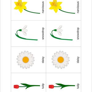 Spring Flowers Memory Game – Printable Matching Game for Preschool ...