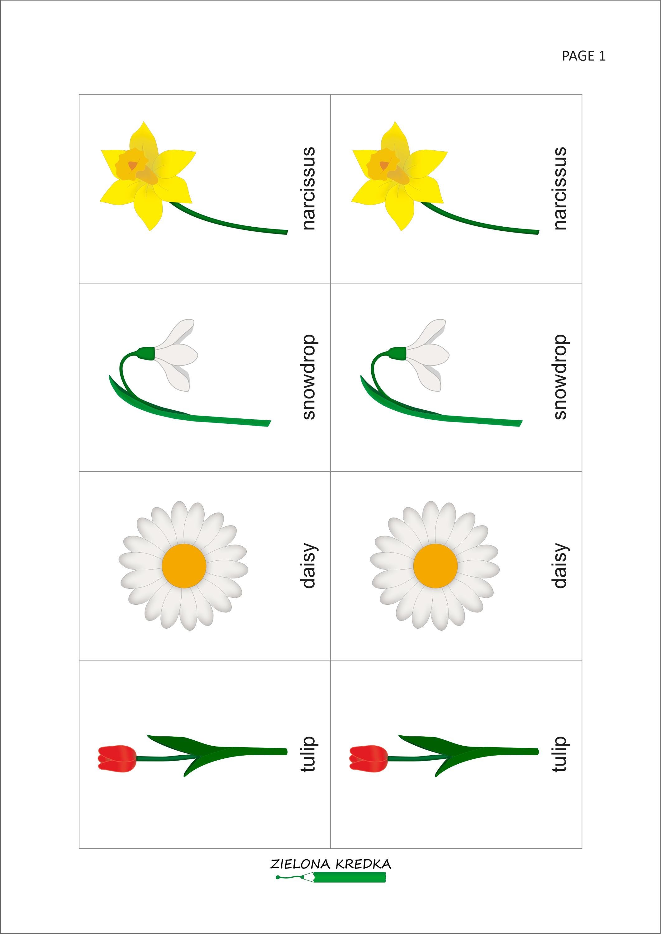Spring Flowers Memory Game – Printable Matching Game for Preschool ...