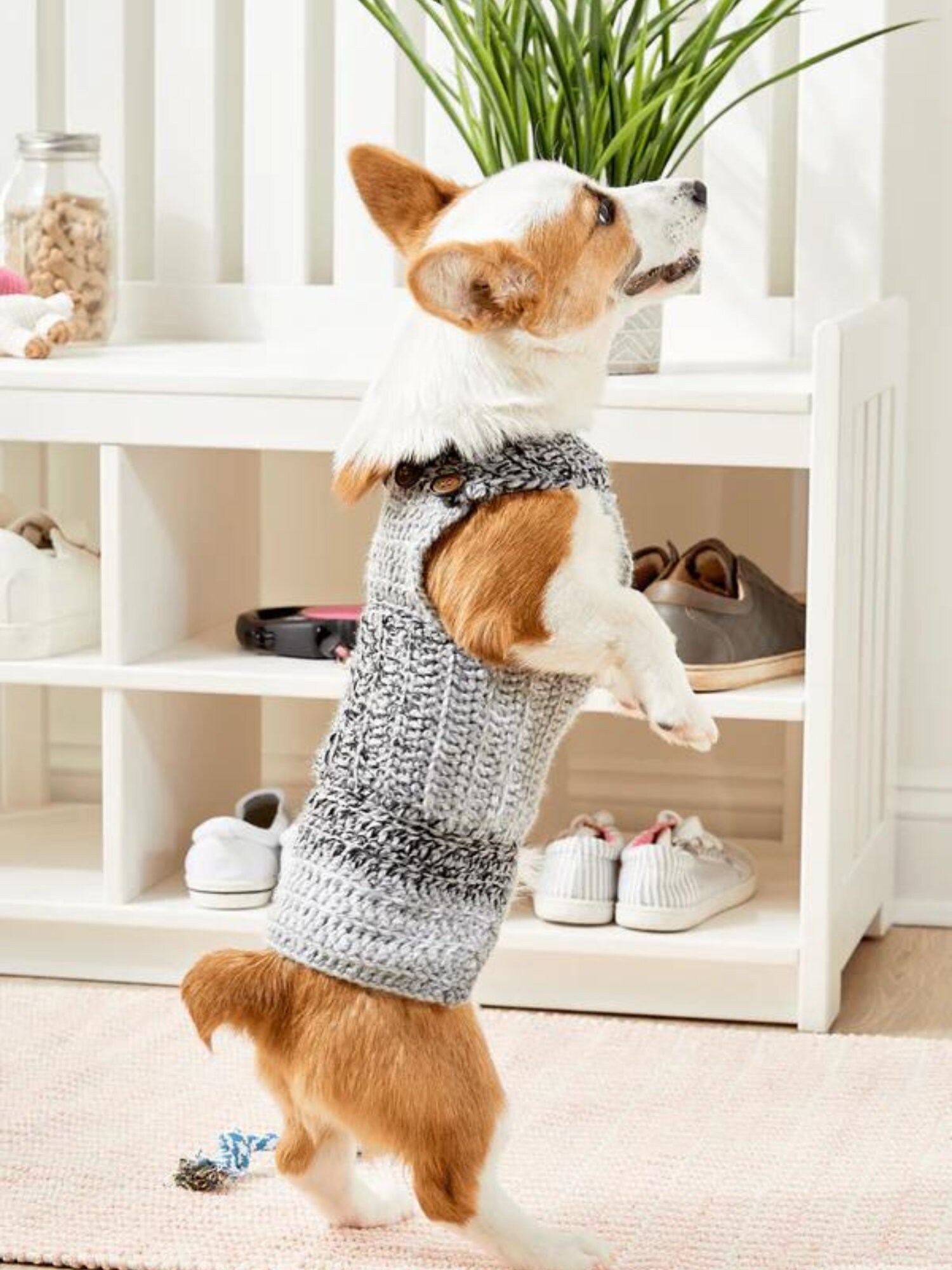 DAPPER DOG SWEATER Knitting Pattern Tutorial Pdf - Etsy