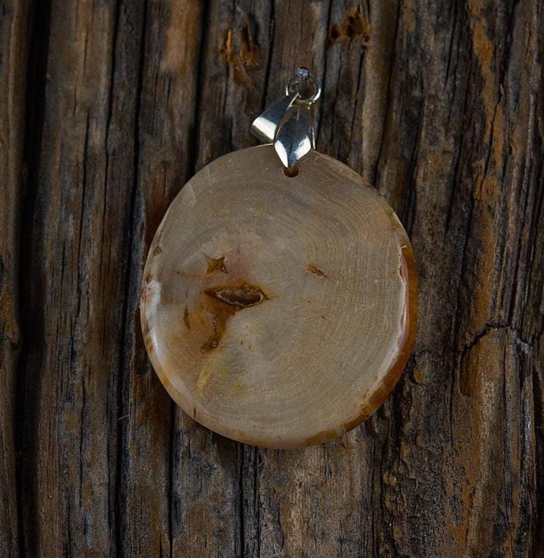 Ancient Timber – A Fossilized Tree in Stone - Wear Nature's True ...