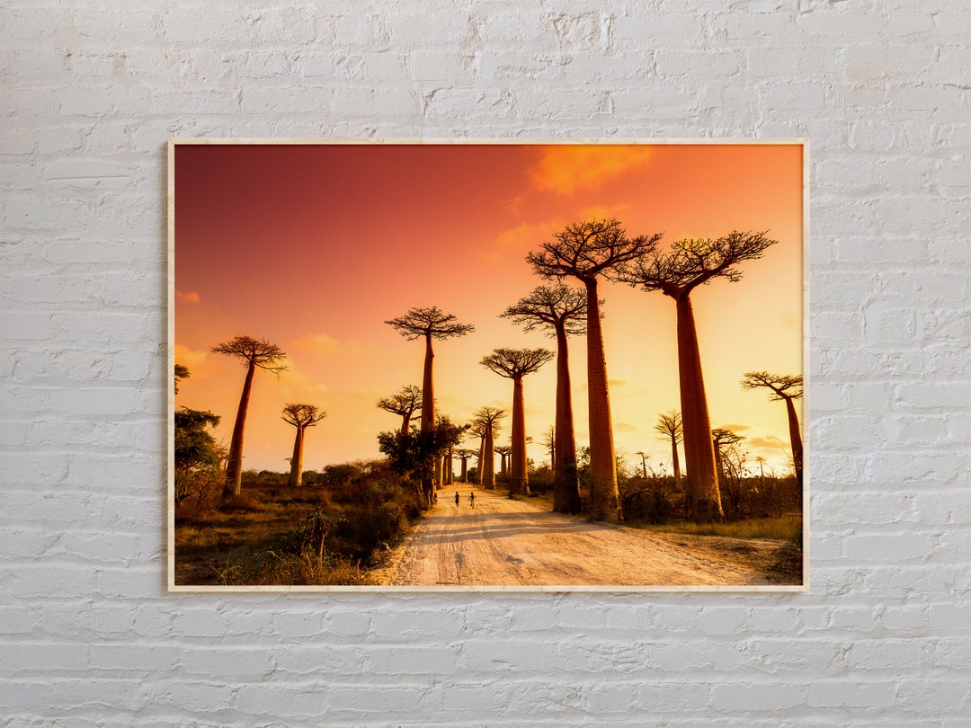 Real Photo, Madagascar Print, Madagascar Wall Art, Madagascar Poster ...