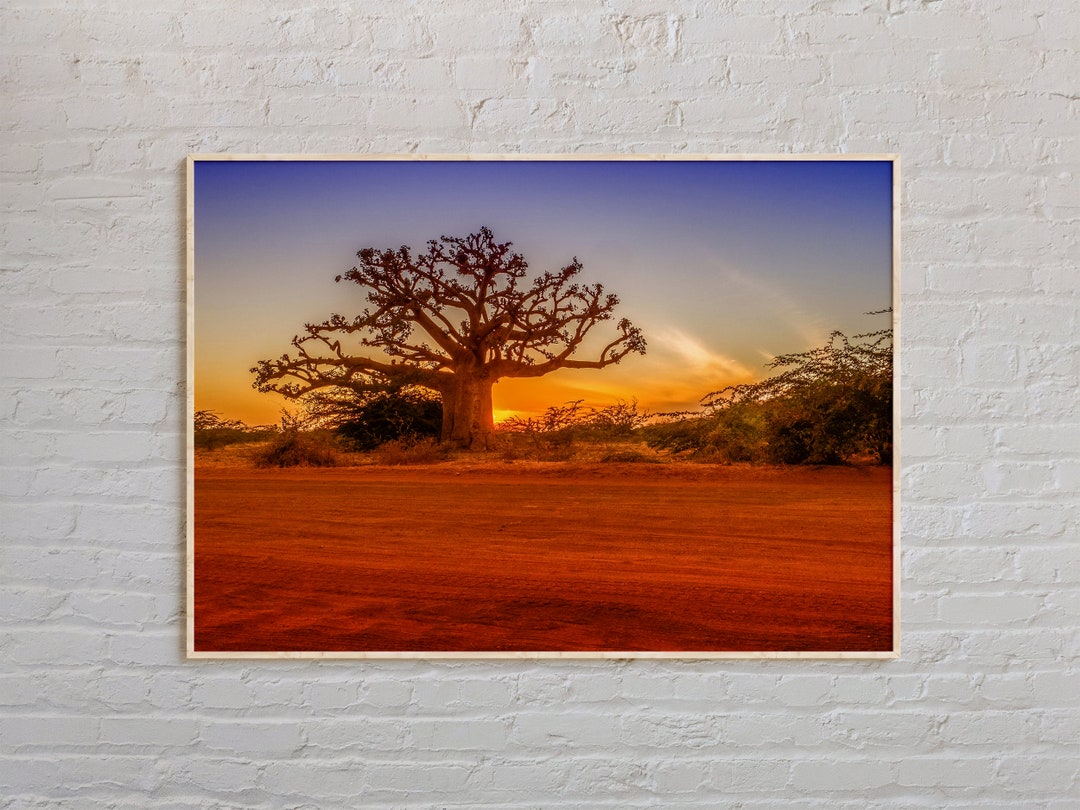 Real Photo, Senegal Print, Senegal Wall Art, Senegal Poster, Senegal ...